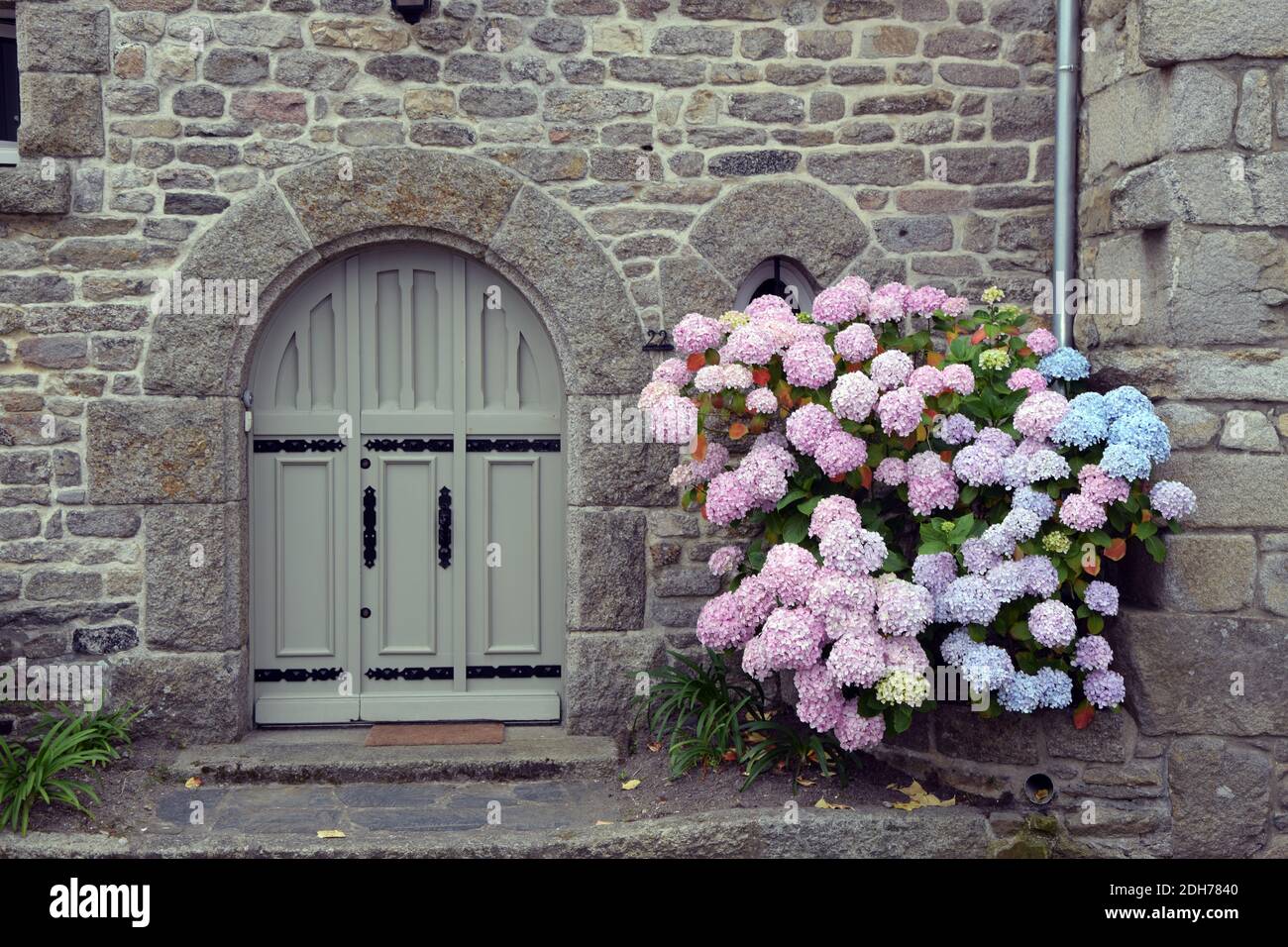 Window with hydrangeas in Brittany Stock Photo - Alamy