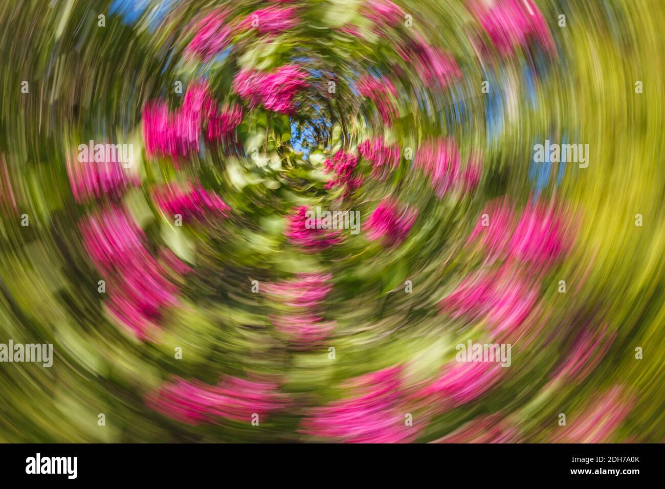 Purple spin texture hi-res stock photography and images - Alamy