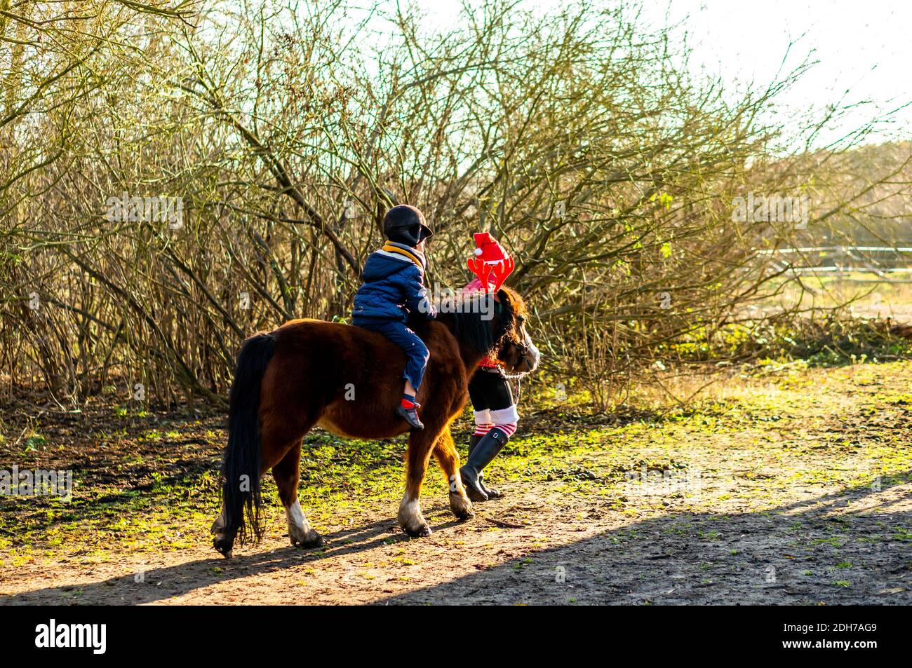 BOLECHOWKO, POLAND - Dec 06, 2020: Young boy riding a small pony while ...