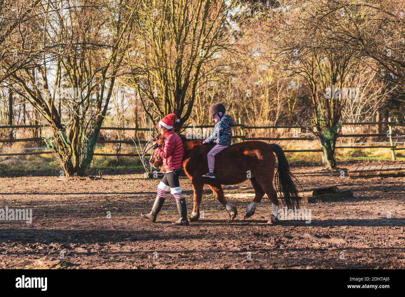Pulling pony hi-res stock photography and images - Alamy