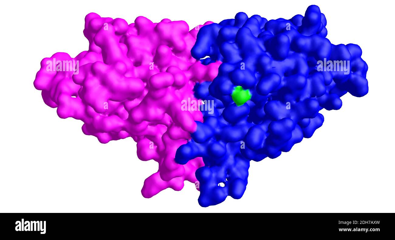 Transmembrane protein hi-res stock photography and images - Alamy