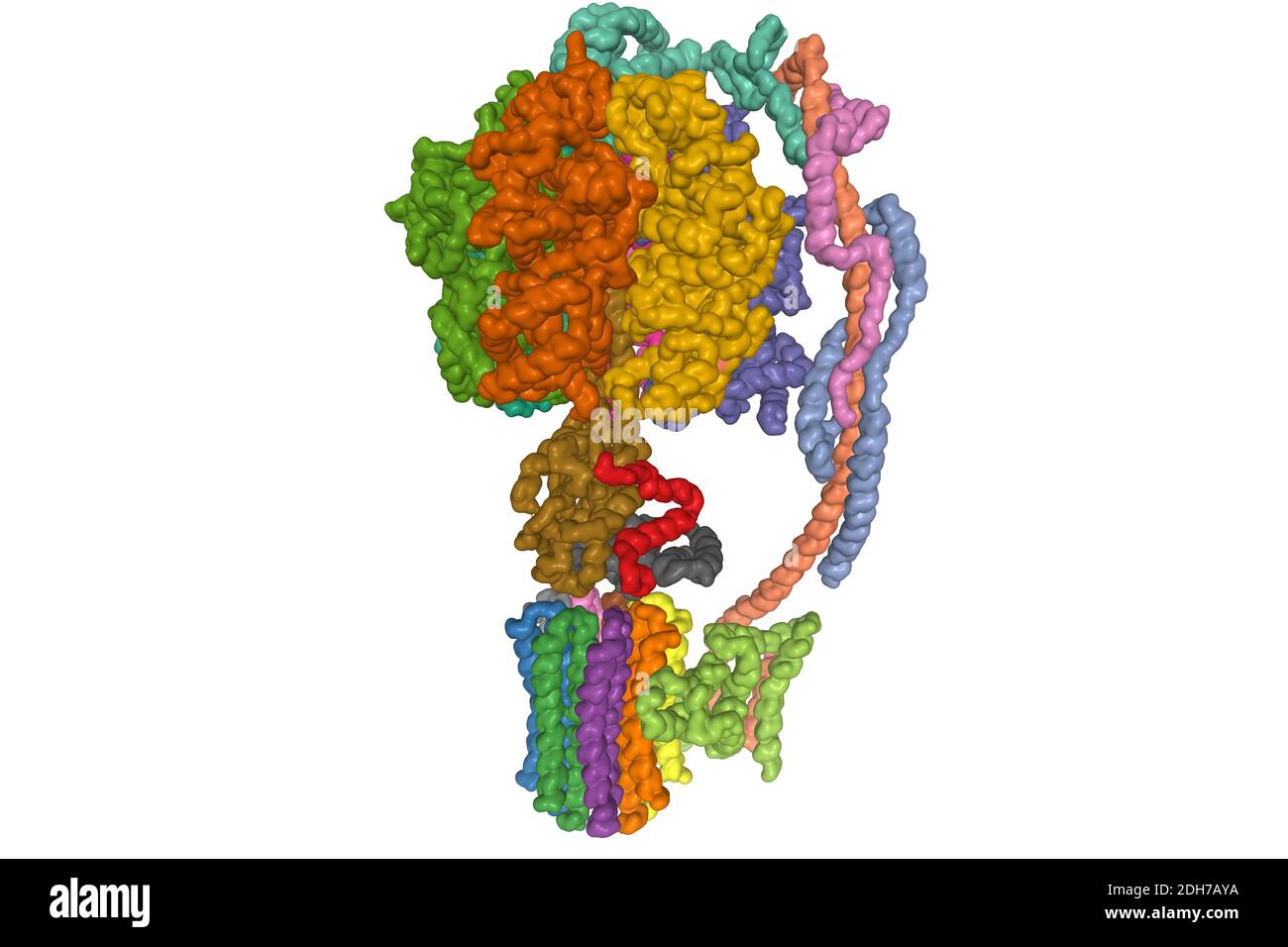 Bovine mitochondrial ATP synthase, 3D Gaussian surface model isolated ...