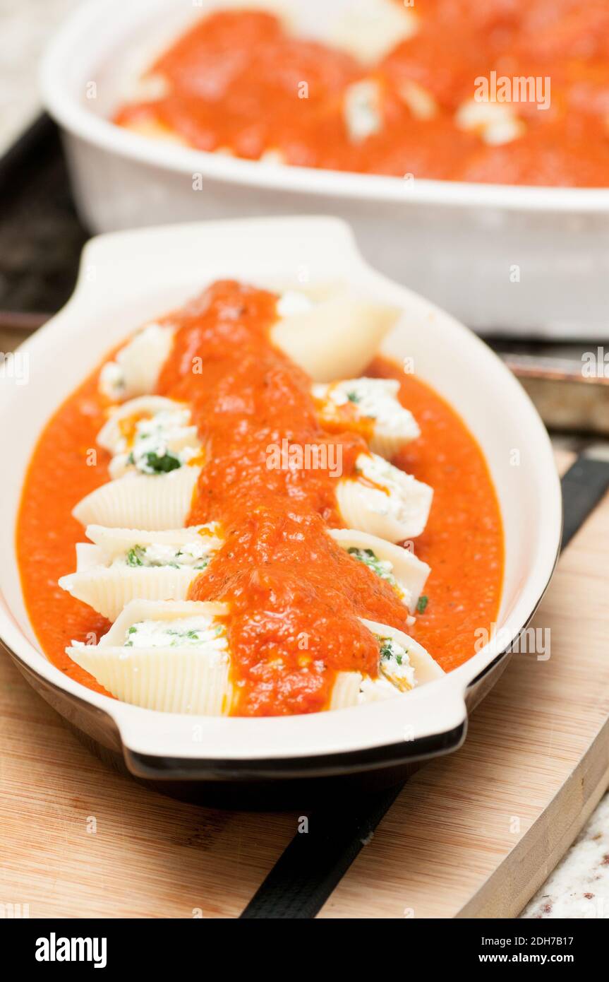Giant Conchiglie