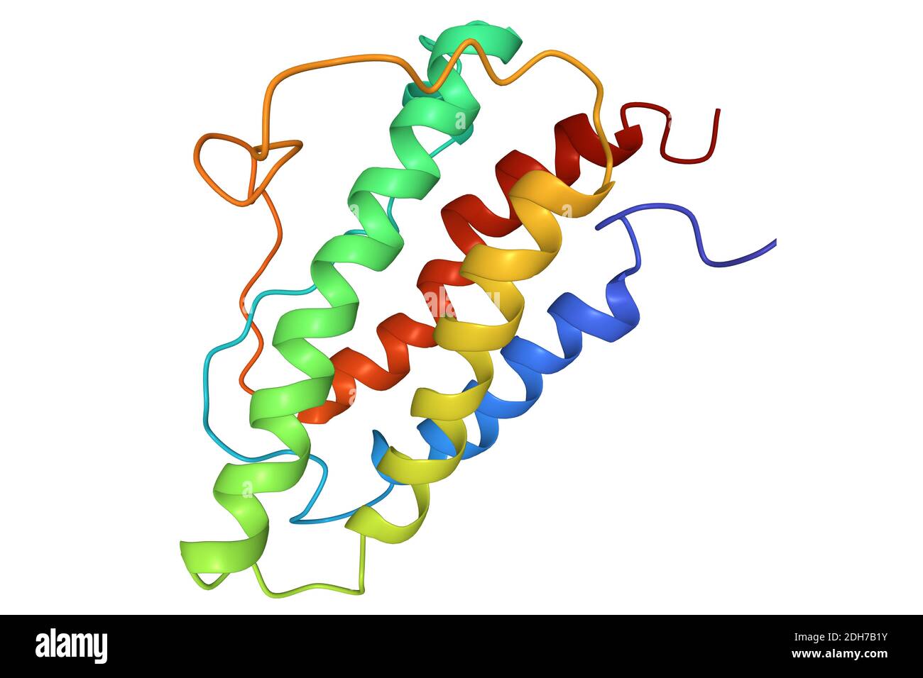 Human erythropoietin, 3D cartoon model isolated, white background Stock ...