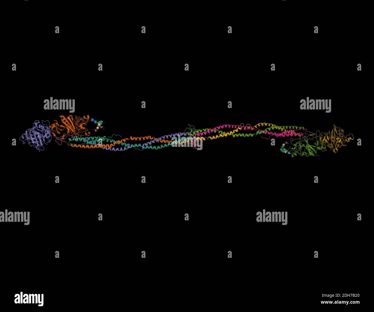 Crystal structure of human fibrinogen, 3D cartoon model isolated, black ...