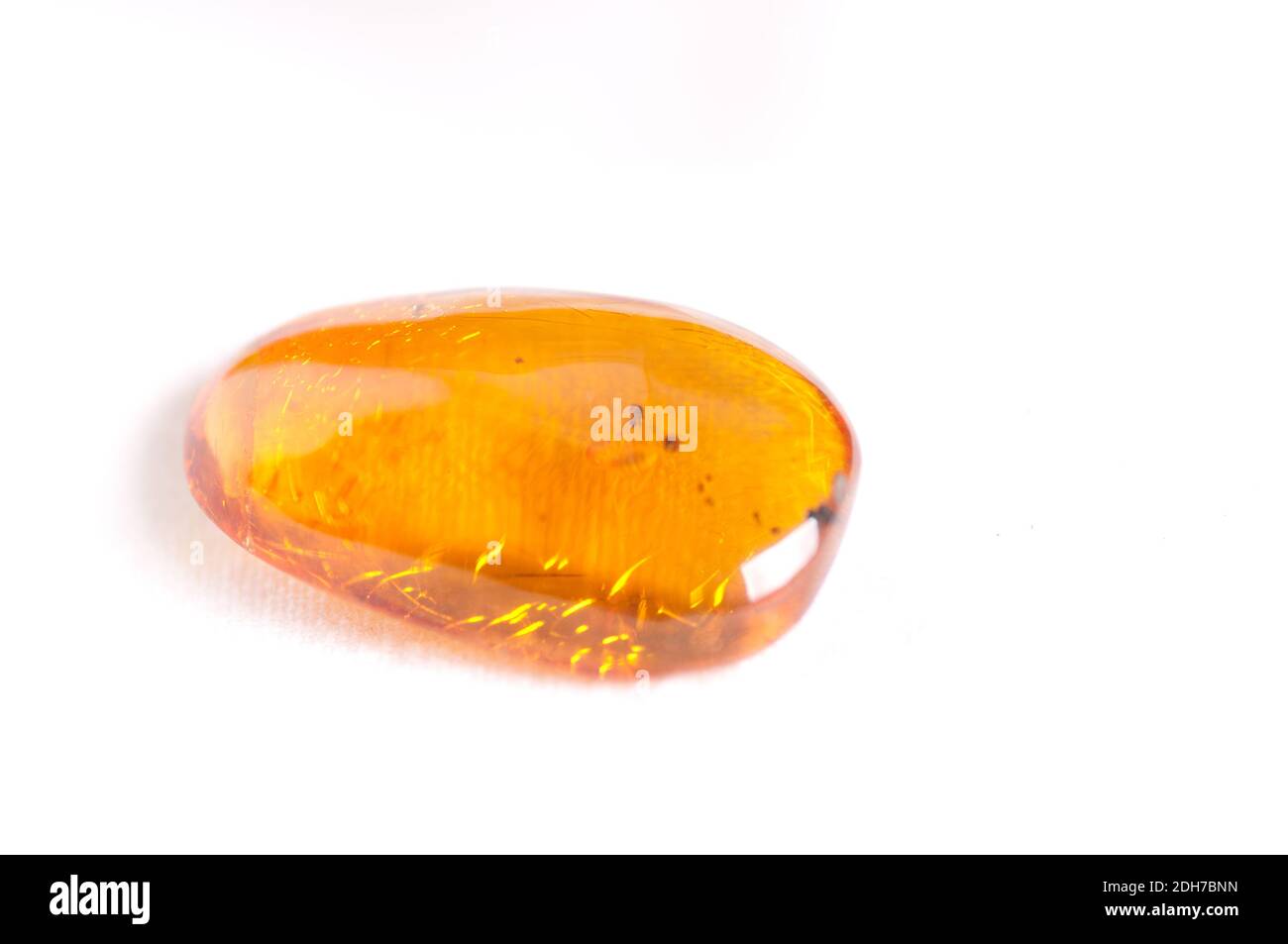 amber with insect fossillized inside the crystal, science Stock Photo ...