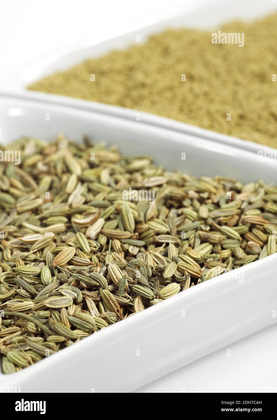 Powder and Fennel's Seed, foeniculum vulgare against White background ...
