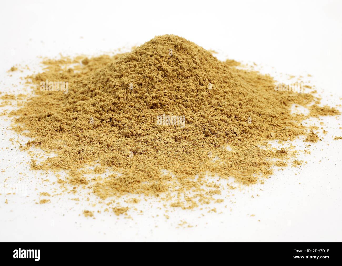 Ginger Powder, zingiber officinale against White background Stock Photo ...