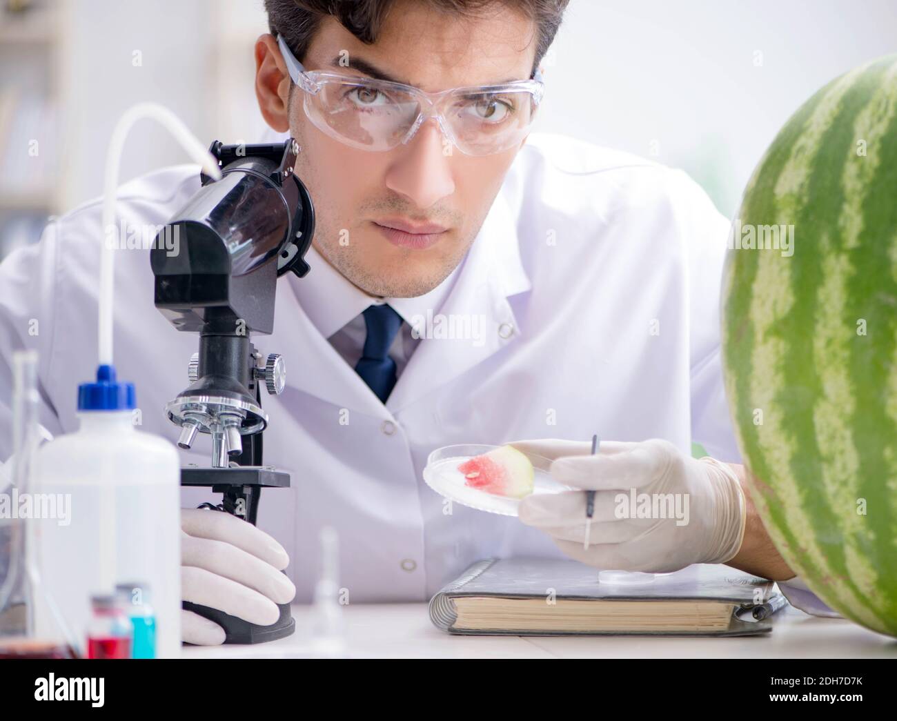 Watermelon test hi-res stock photography and images - Alamy