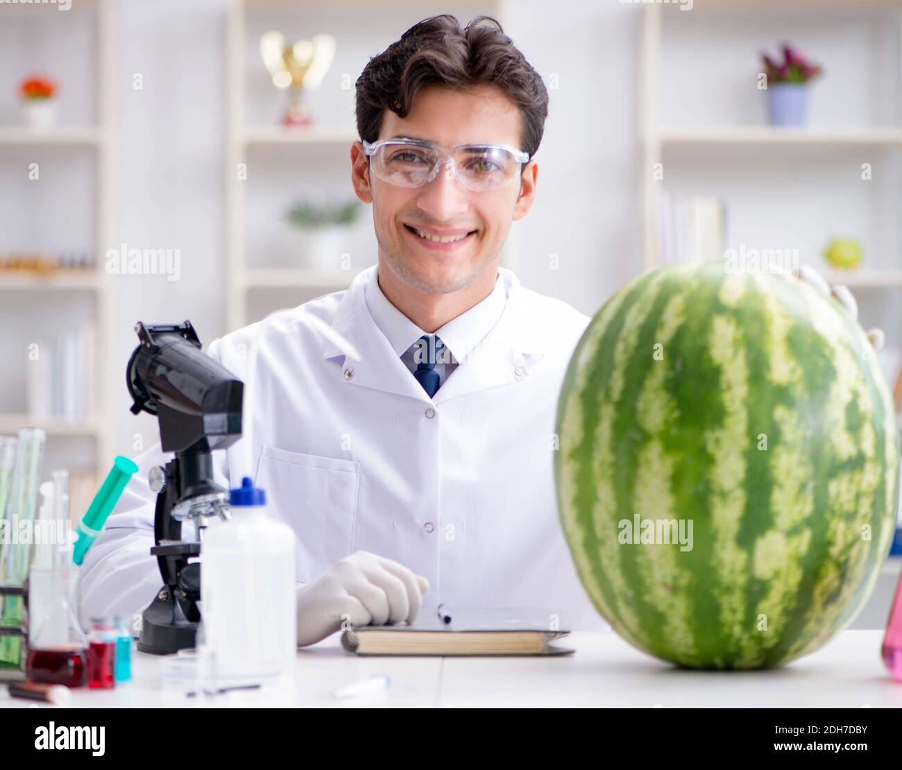 Watermelon test hi-res stock photography and images - Alamy