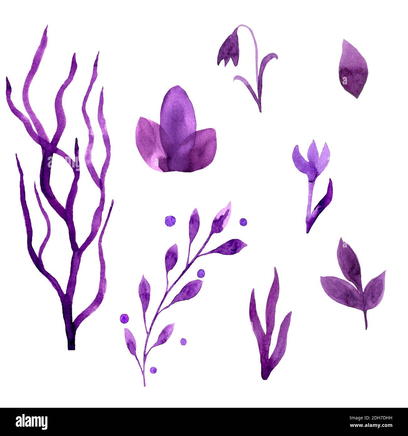 a set of elements of lilac flowers and leaves in watercolor on a ...