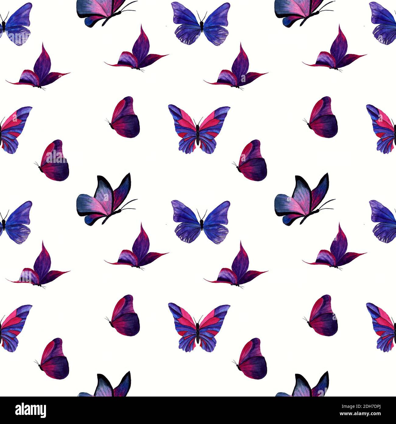 purple butterfly pattern watercolor on a wiht background Stock Photo ...