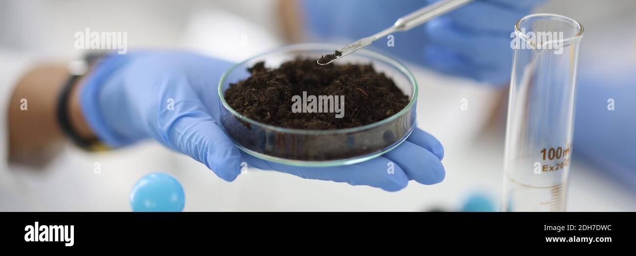 Glass cup with soil sample stands on hand in rubber glove in chemical ...
