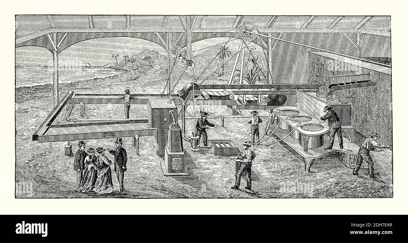 Aschenbrenners improved sugar making process hi-res stock photography ...