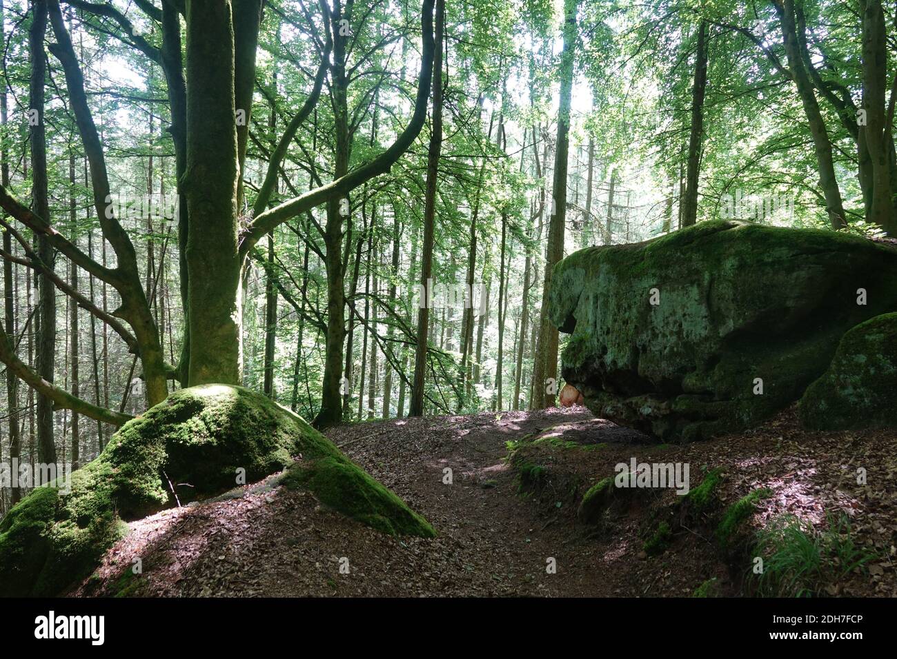 Rodalben hi-res stock photography and images - Alamy