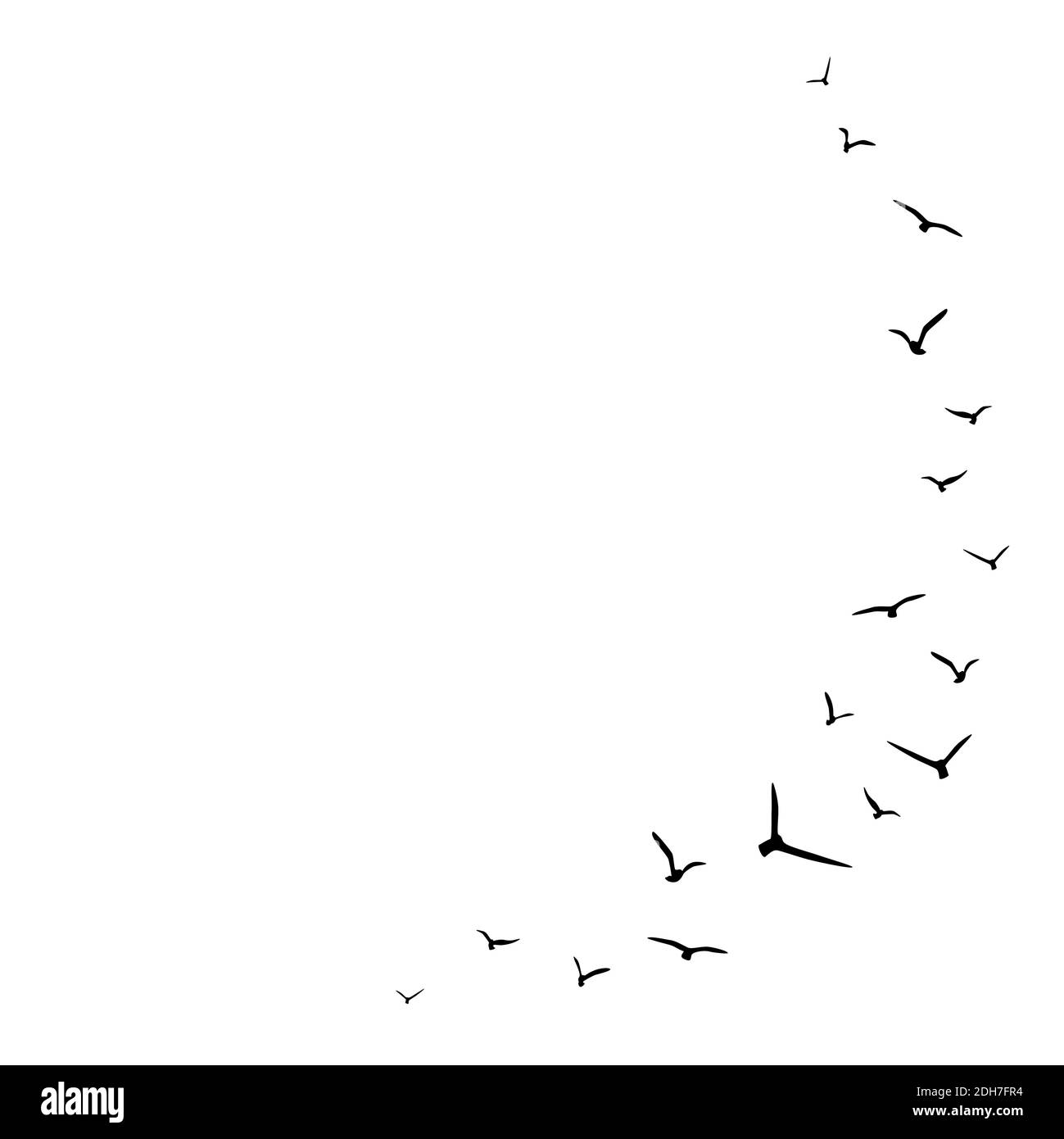 vector background with flying birds on the right side. Black swallows ...