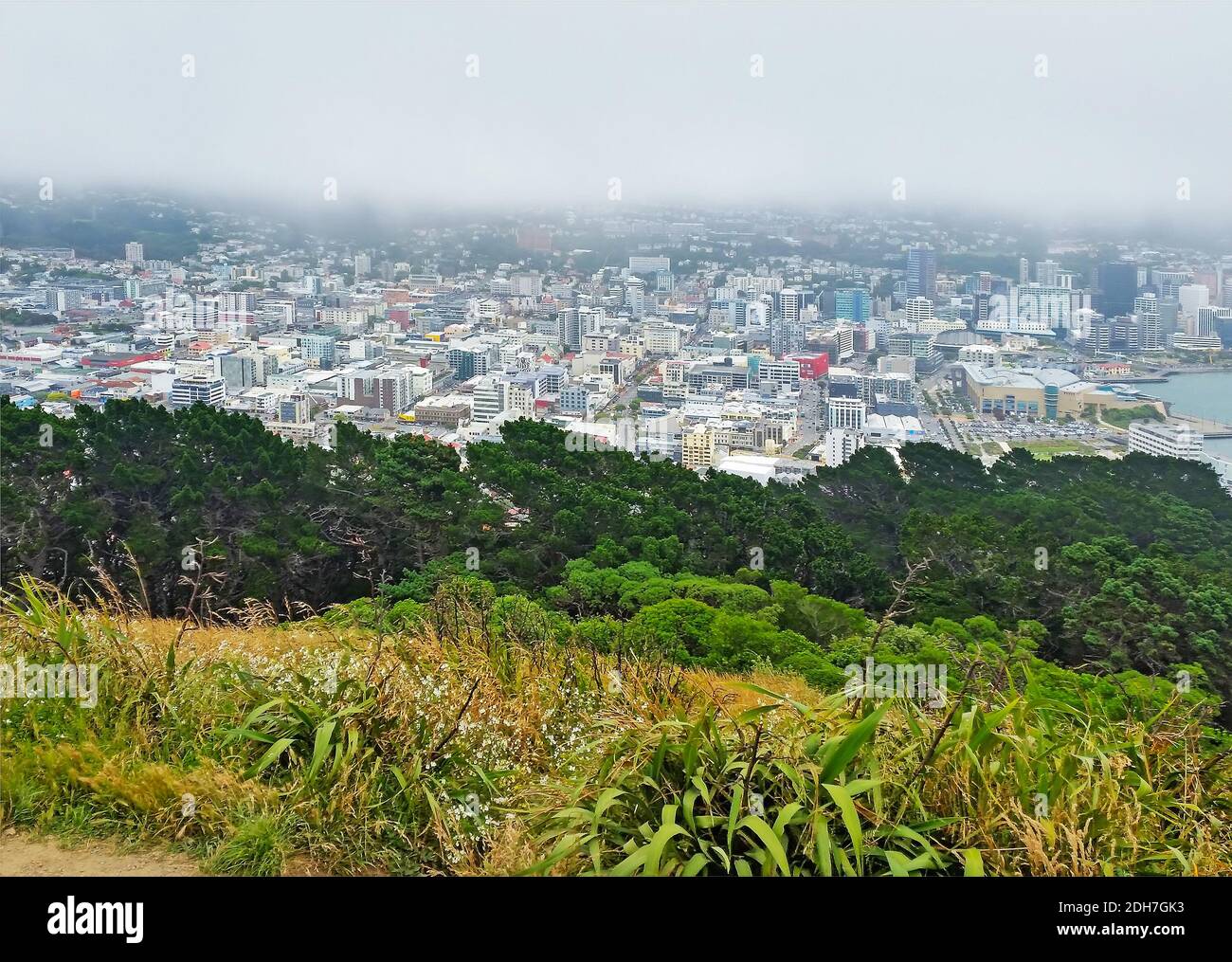 Wellington City, New Zealand Stock Photo - Alamy