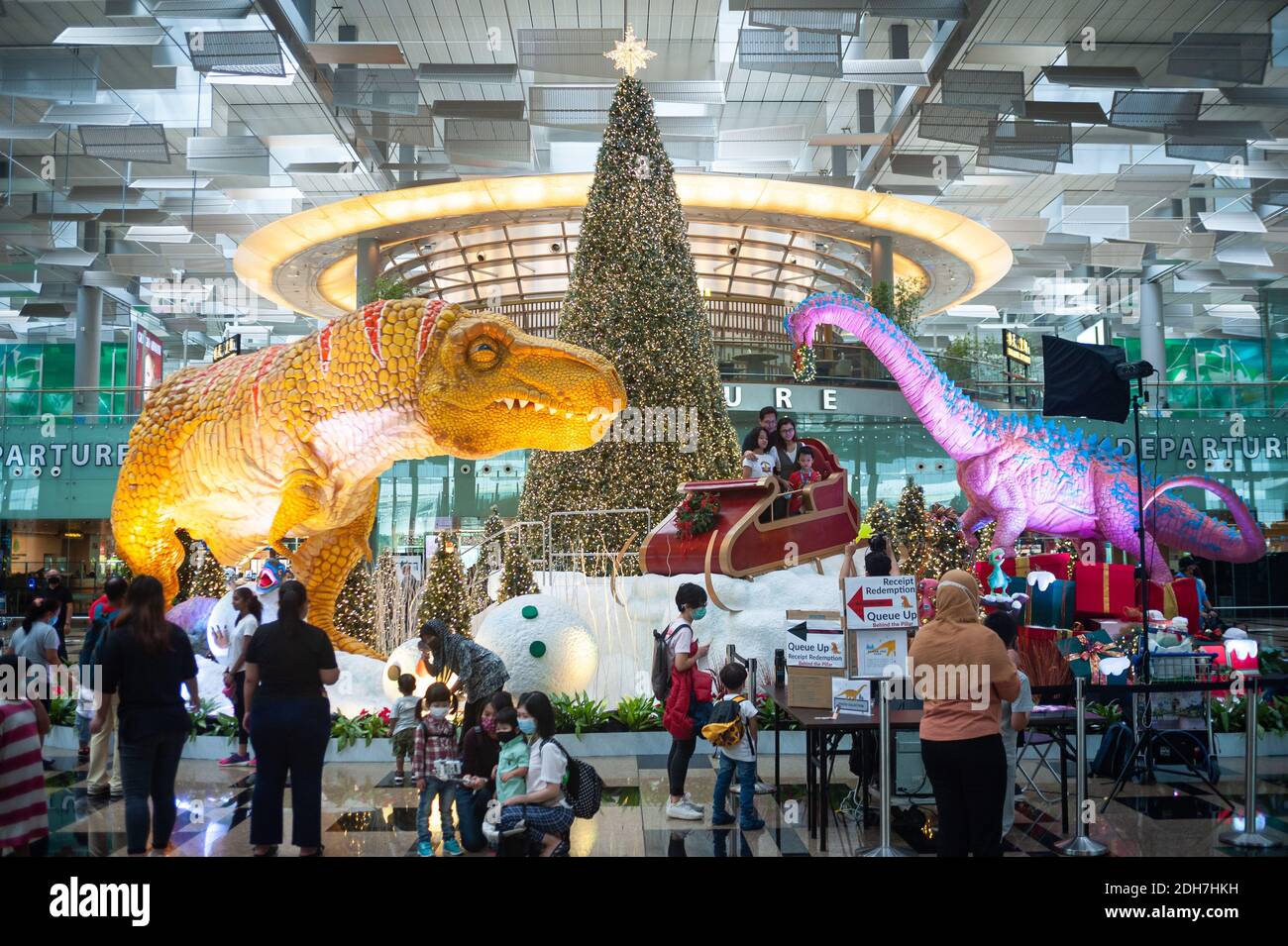 Changi tree hi-res stock photography and images - Alamy