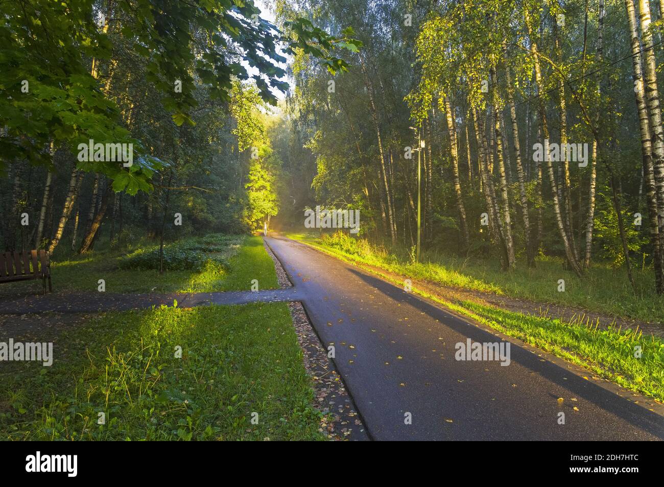 Walking by pathway hi-res stock photography and images - Alamy