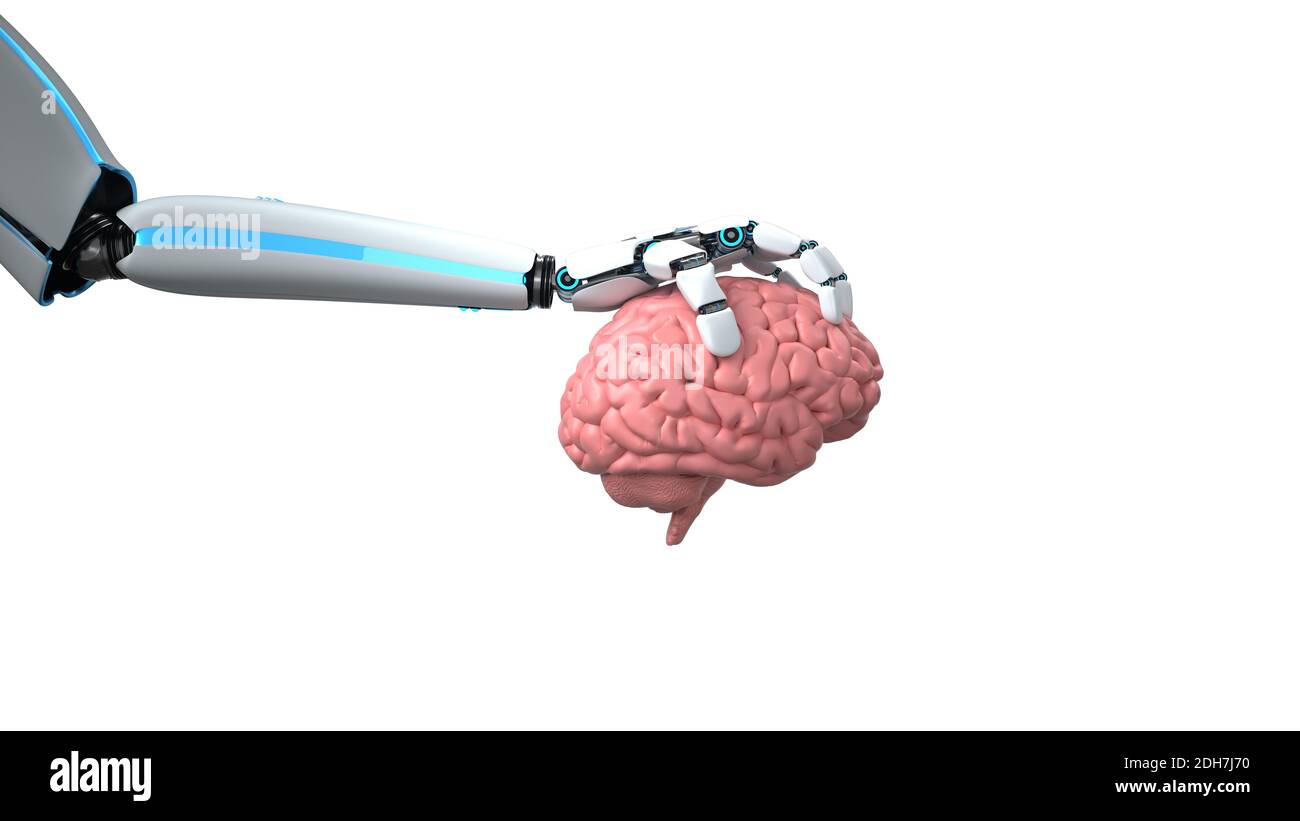 Humanoid Robot Hand Human Brain Stock Photo - Alamy Humanoid Robot Hand Human Brain Stock Photo - Alamy