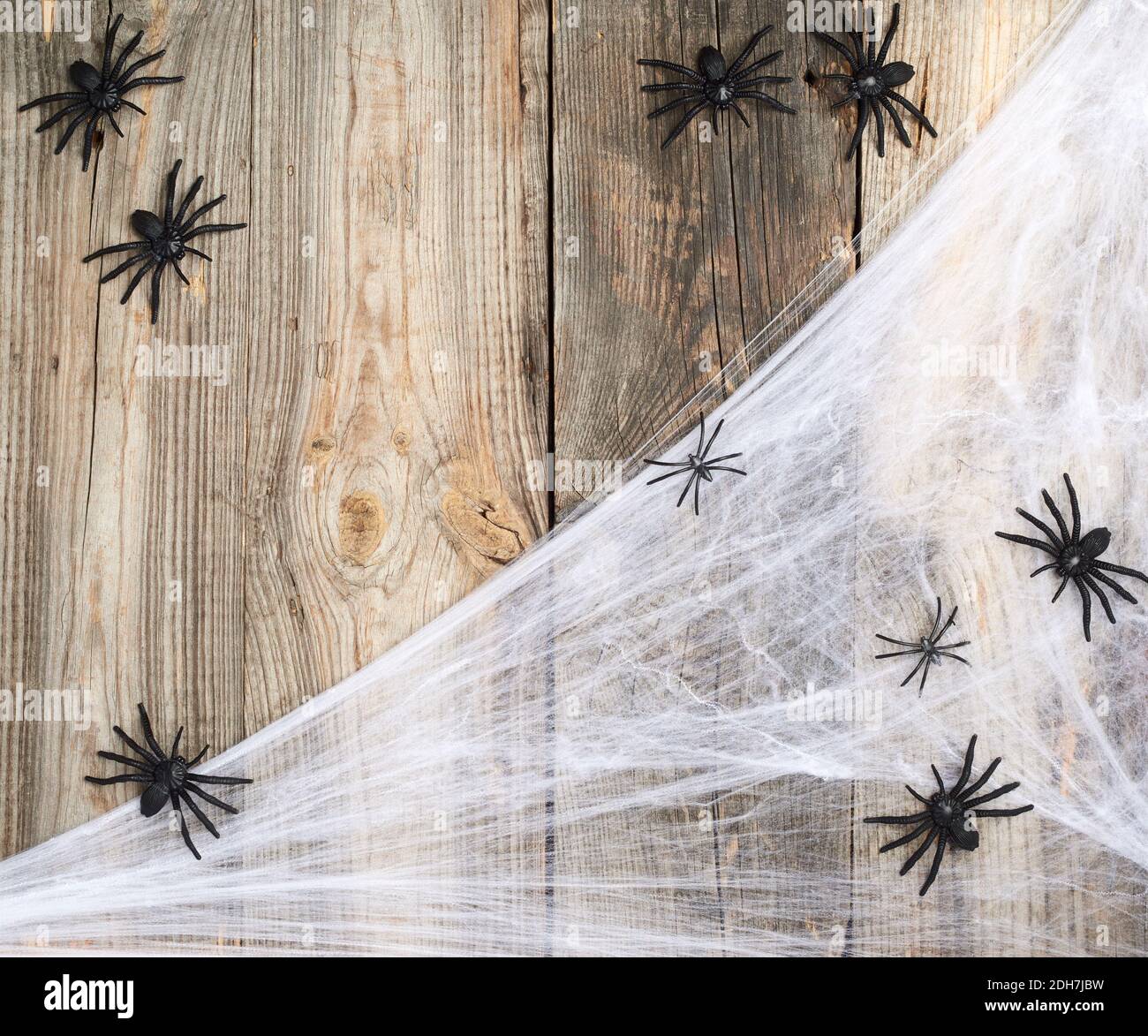 White spider web with black spiders on a gray wooden background from ...