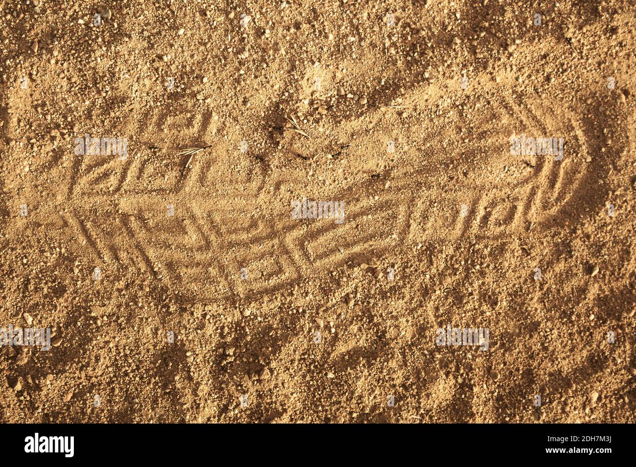 Black ants walk on sand hi-res stock photography and images - Alamy