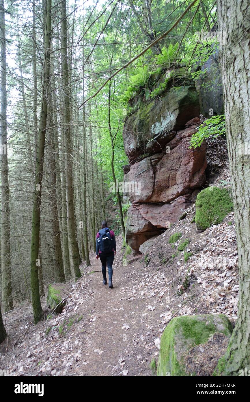 Felsenwanderweg rodalben hi-res stock photography and images - Alamy