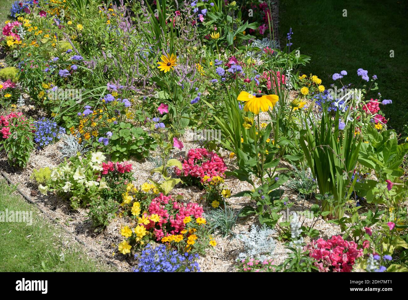 Border of flowers Stock Photo - Alamy