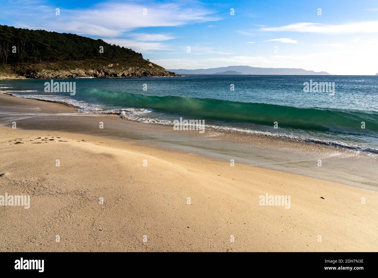 An empty beautiful beach with waves breaking on golden sand and forest ...