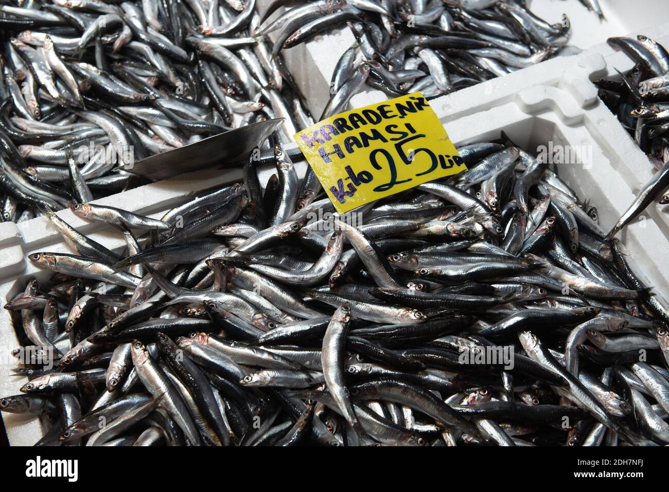 Hamsi fish hi-res stock photography and images - Alamy