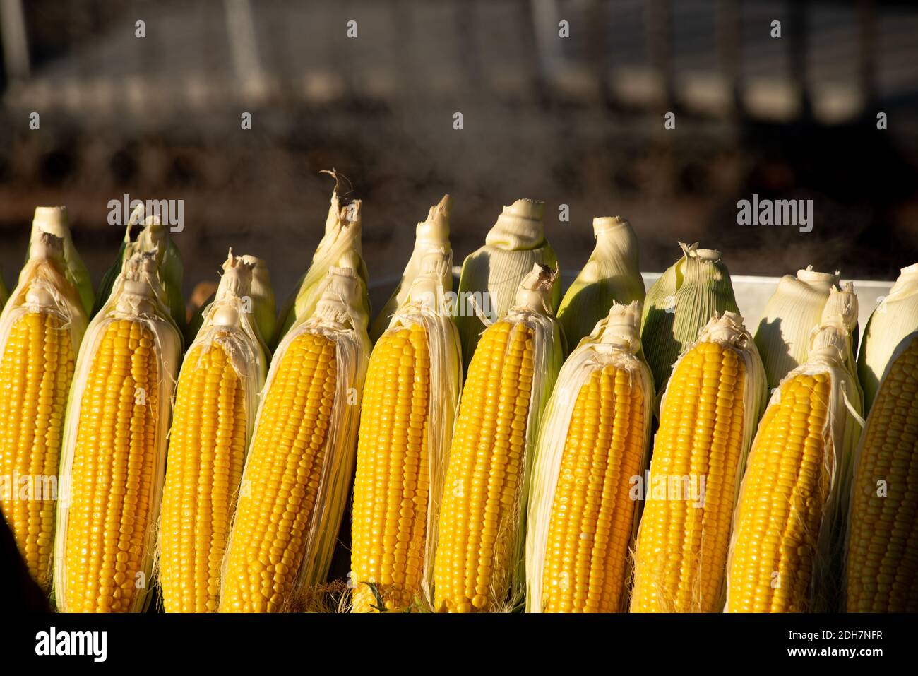 Corn for sale on a market stall hi-res stock photography and images - Alamy