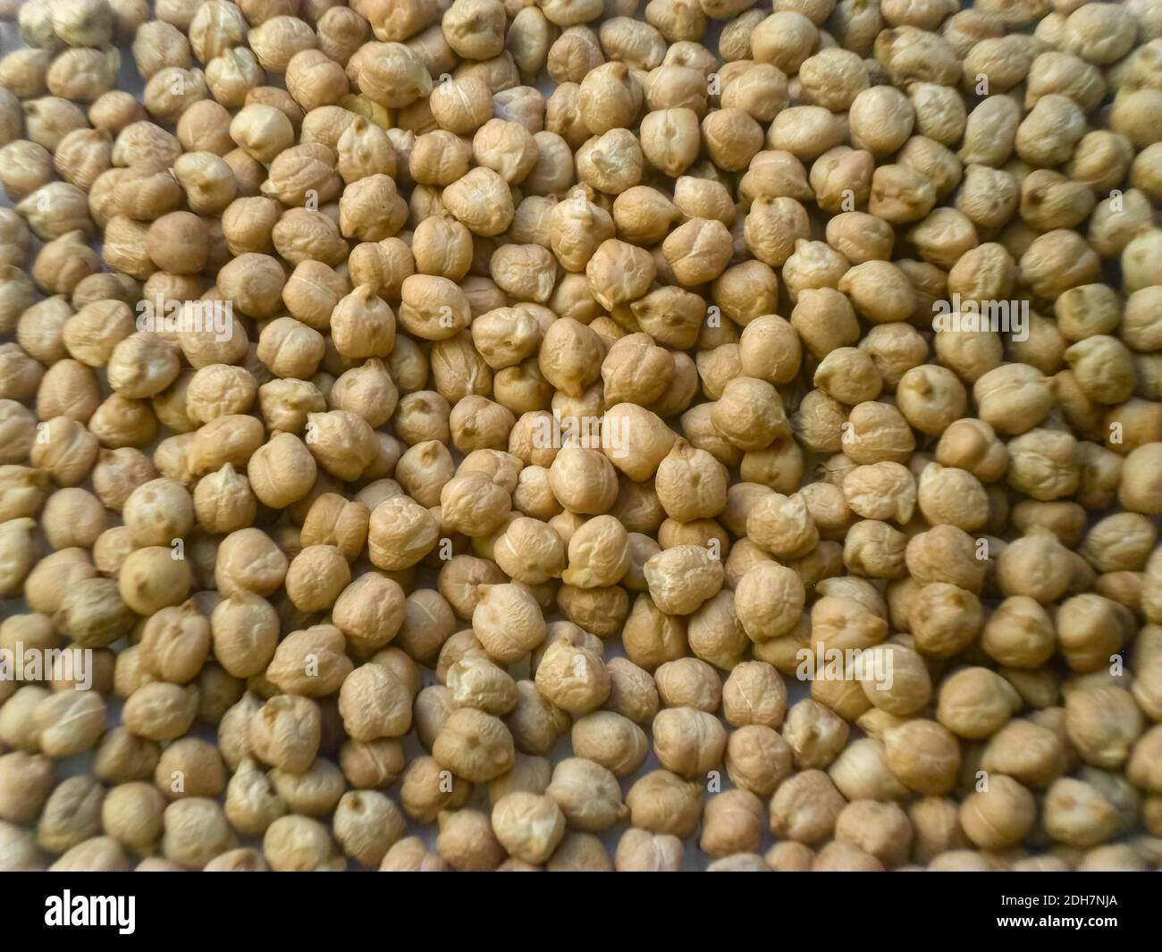 A background of healthy chickpeas (Cicer arietinum) a legume source of ...