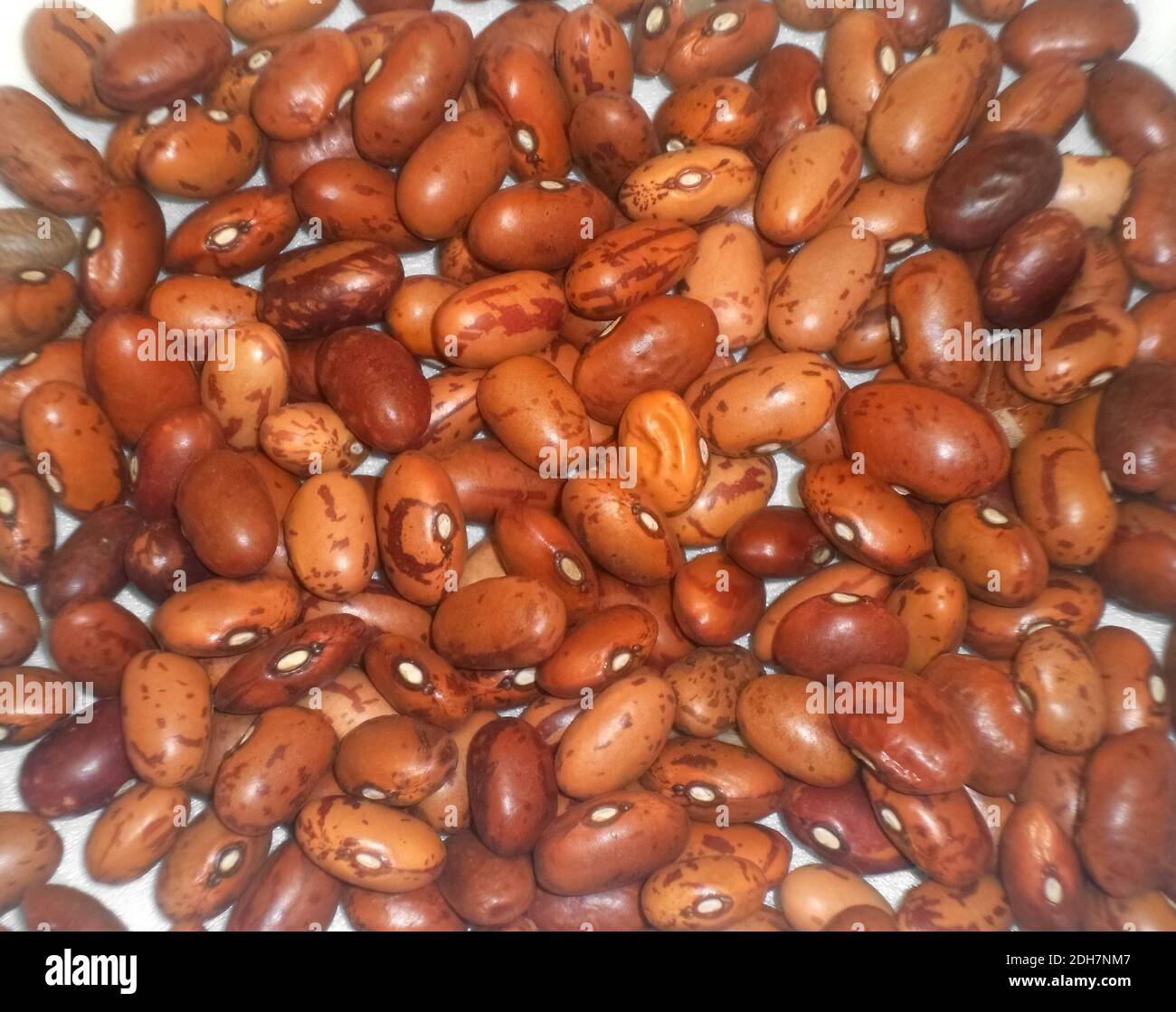 A background of red spotted beans for traditional Italian minestrone ...