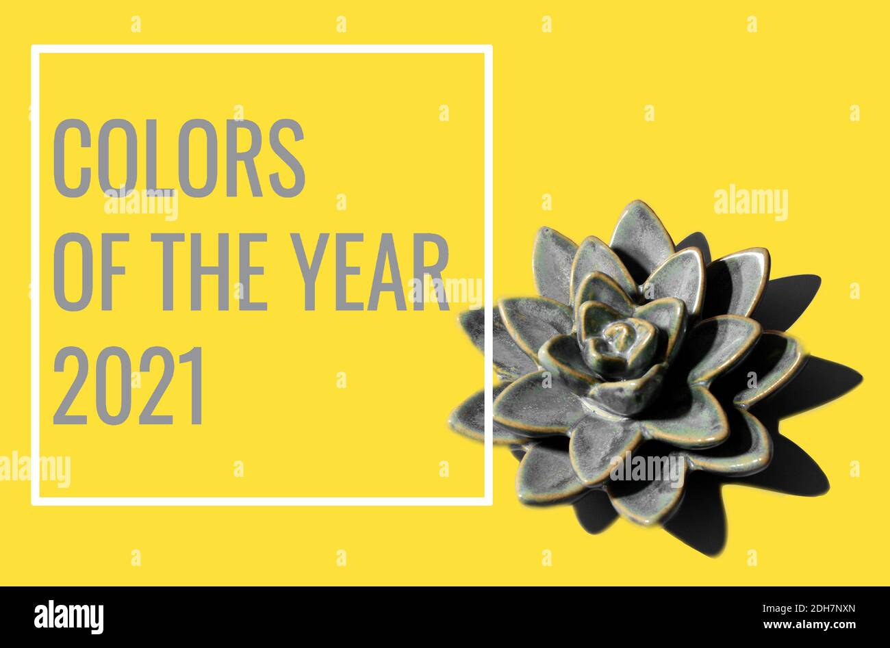 Gray lotus flower on yellow background. Ceramic flower. Colors 2021 ...