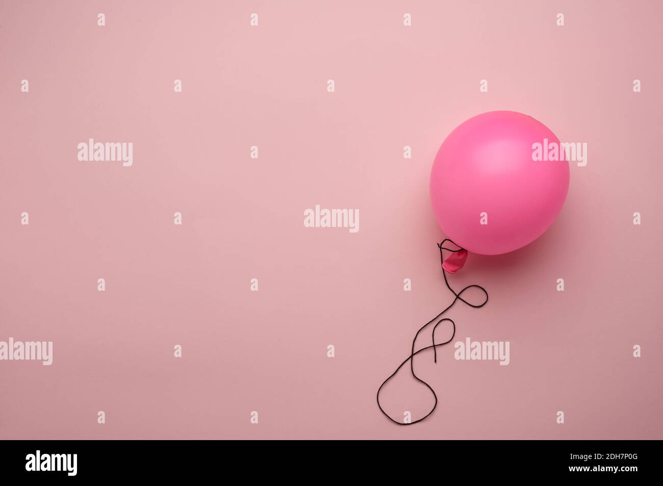 Inflated pink balloon on a pink background, place for an inscription ...