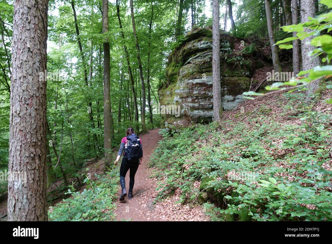 Felsenwanderweg rodalben hi-res stock photography and images - Alamy