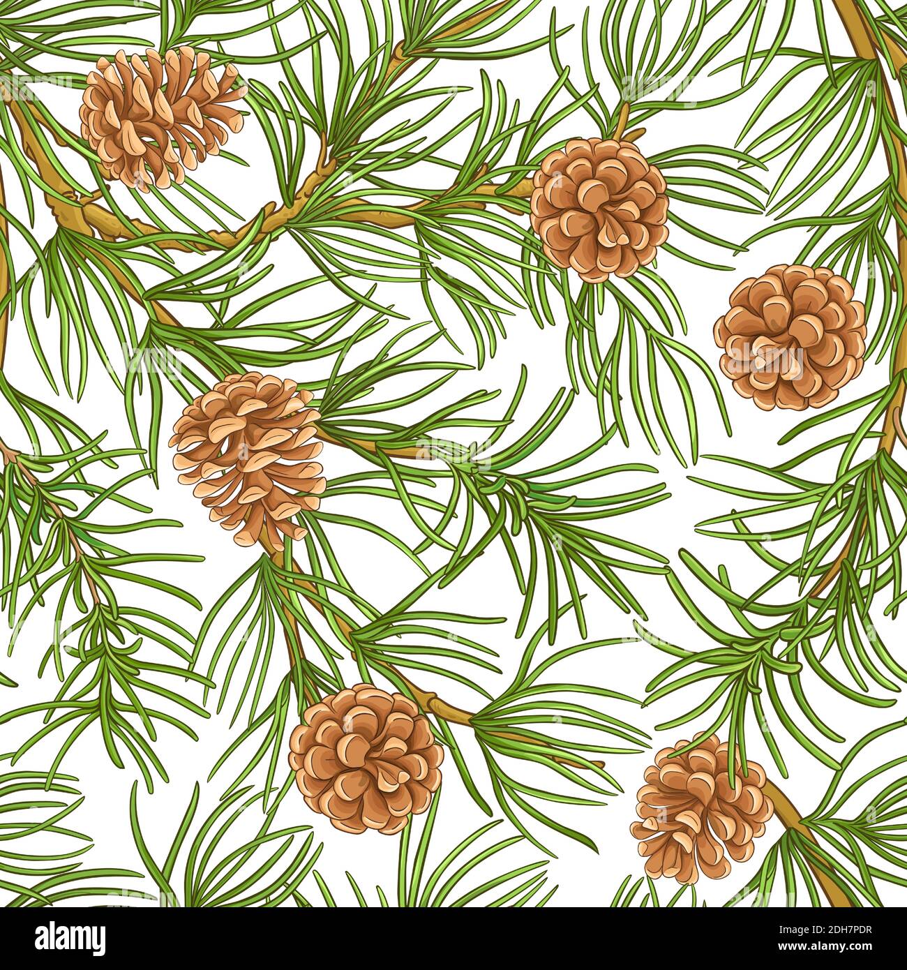 pine pattern vector Stock Vector Image & Art - Alamy