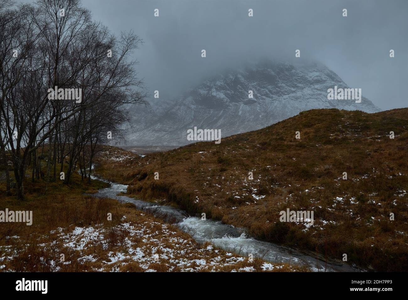 picture in the forest with Stob Dearg mountain in the background. Snowy ...
