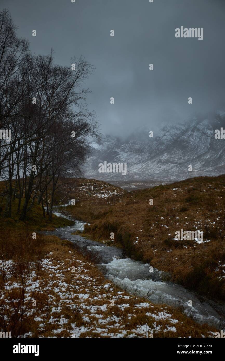 picture in the forest with Stob Dearg mountain in the background. Snowy ...