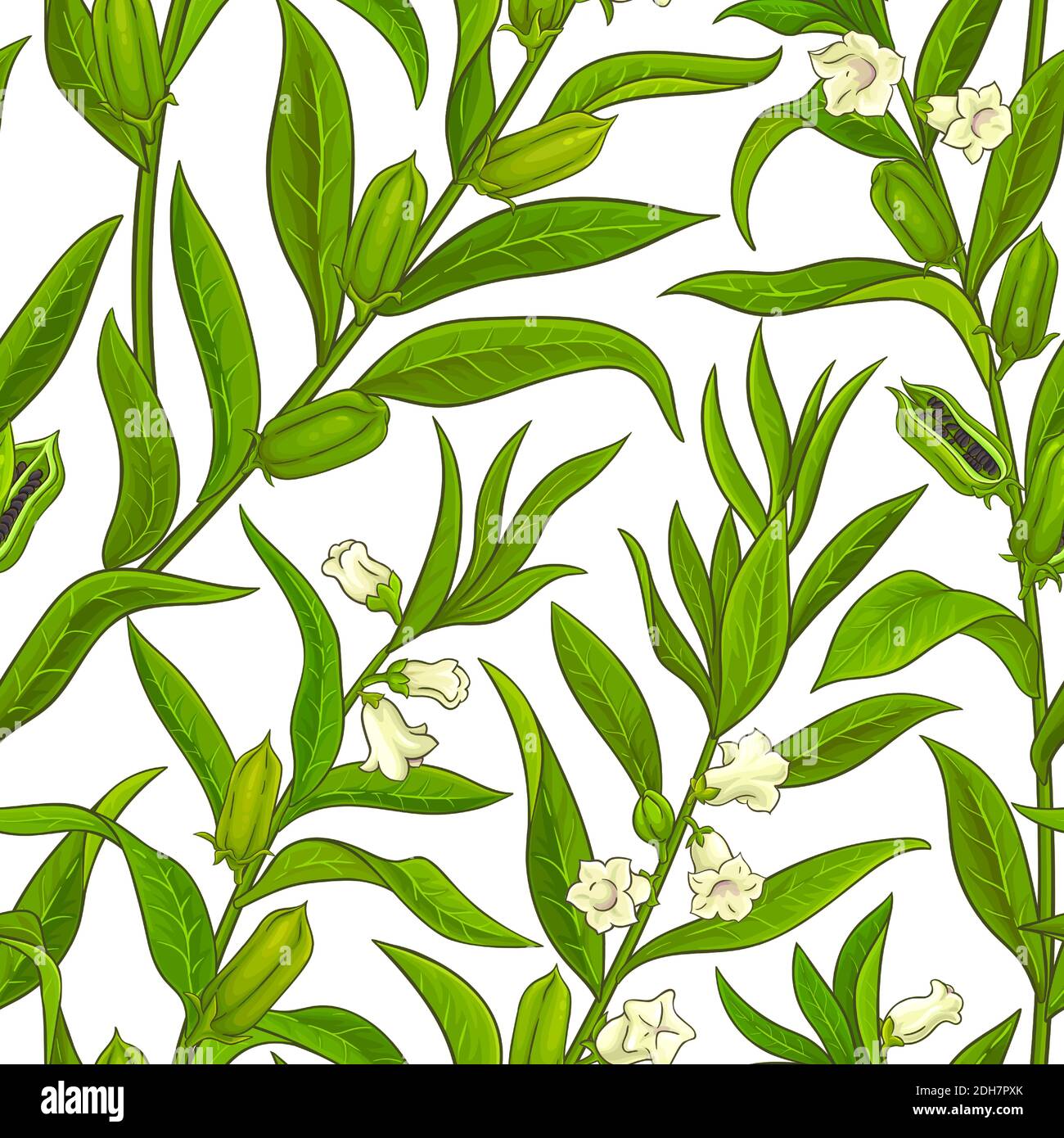 Sesame seed Stock Vector Images - Alamy