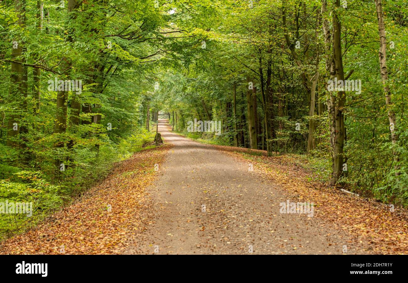 Share the path hi-res stock photography and images - Alamy