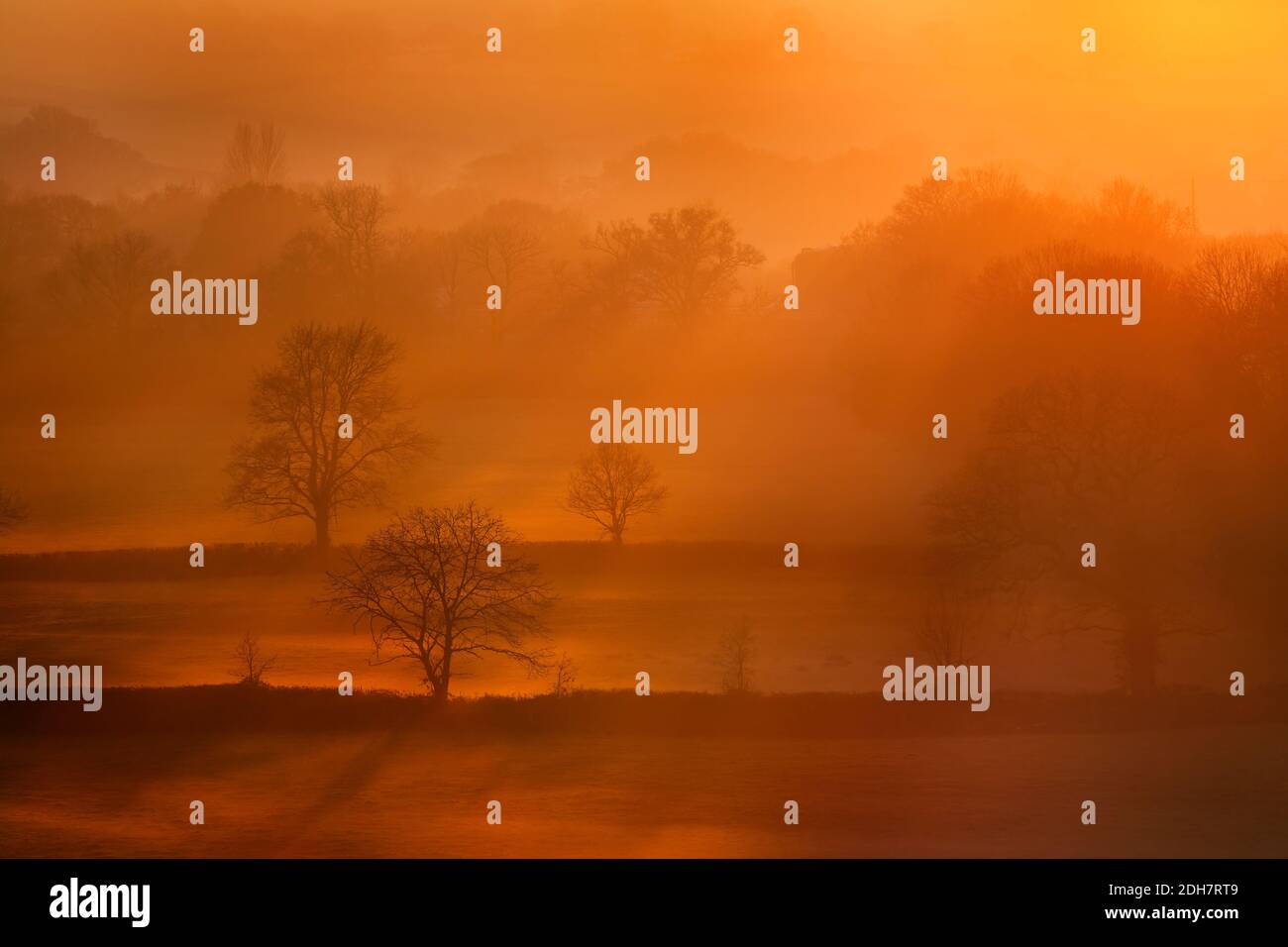 Devon cornwall border hi-res stock photography and images - Alamy