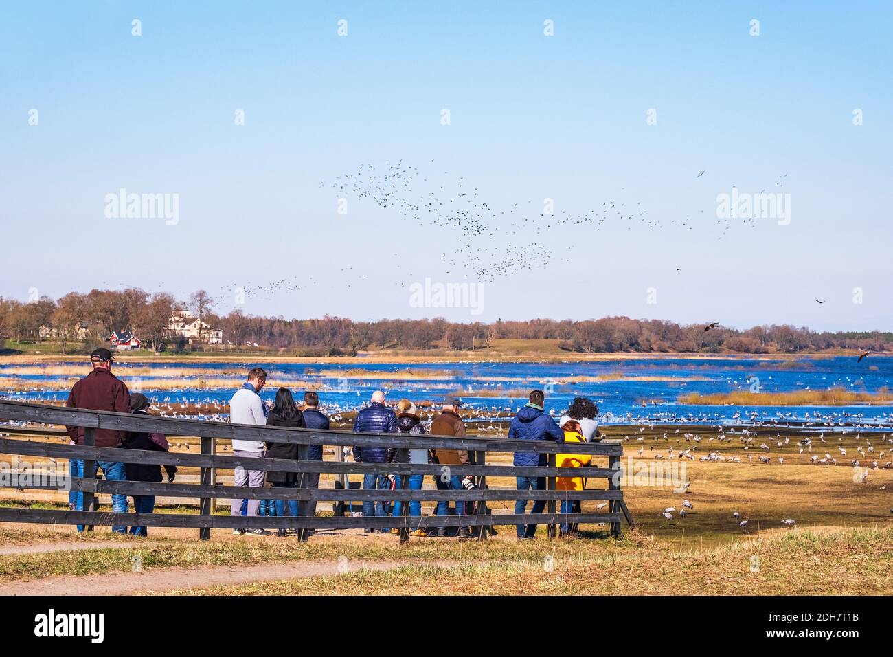 People looking at birds hi-res stock photography and images - Alamy
