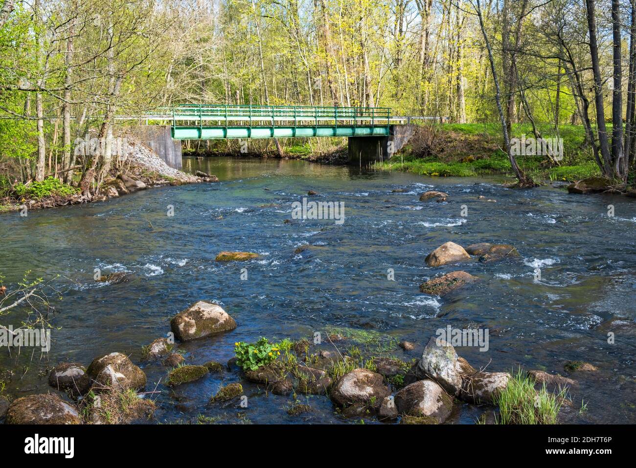 Rivershore forest hi-res stock photography and images - Alamy