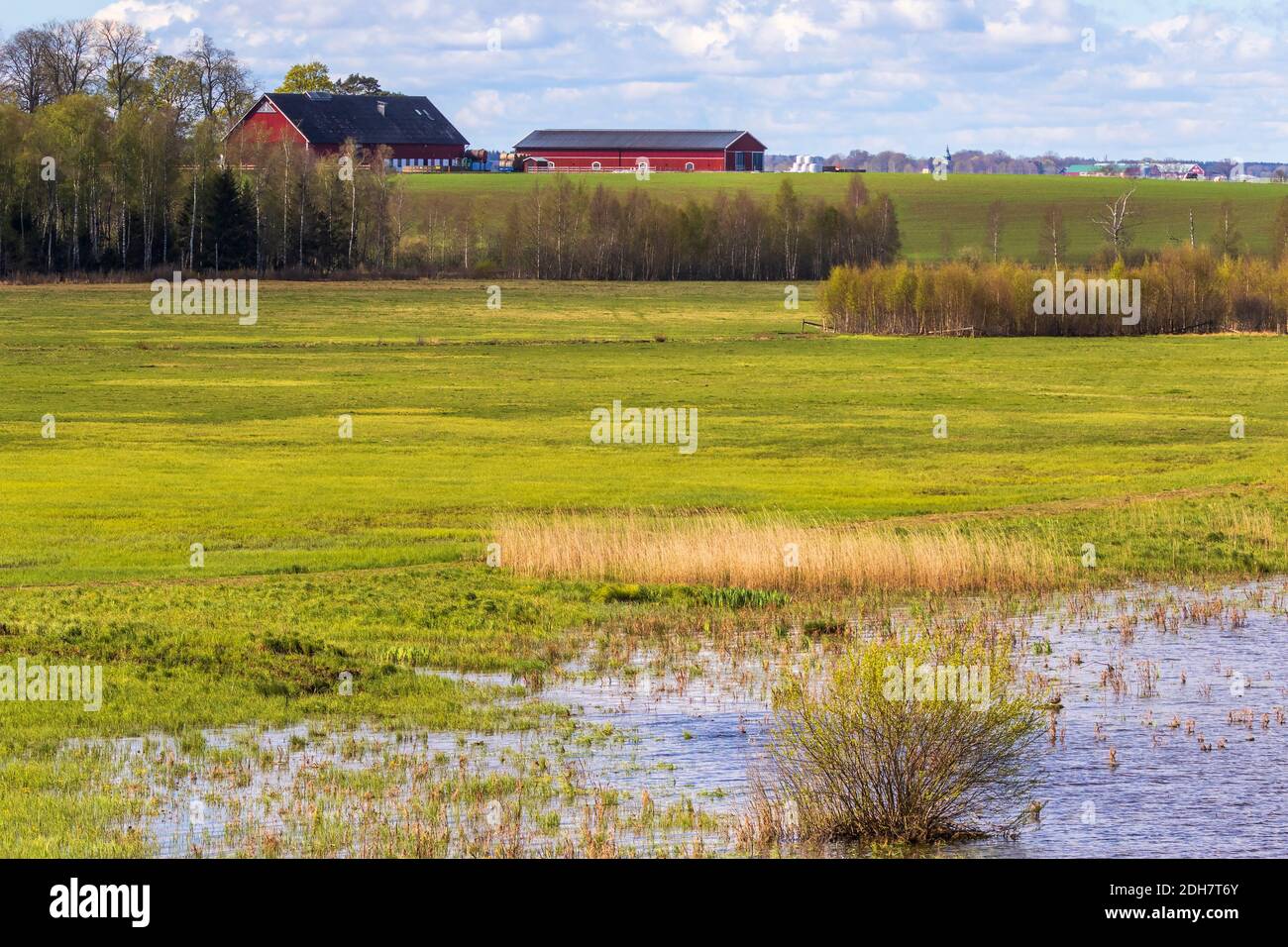 Standing water in a field at a farm Stock Photo - Alamy