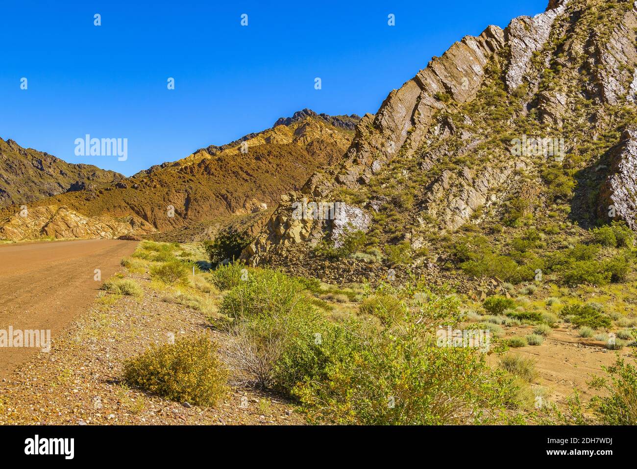 Arid Landscape Brava Lagoon Reserve La Rioja, Argentina Stock Photo - Alamy