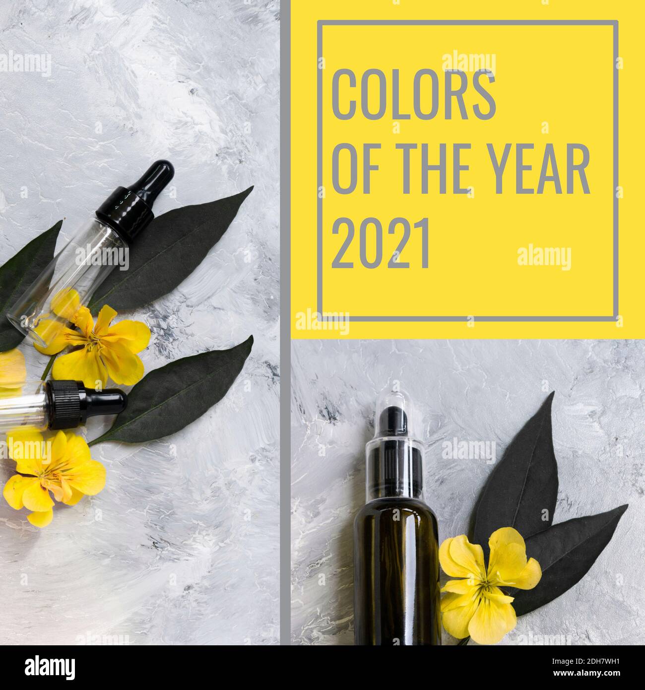 Skin colors collage hi-res stock photography and images - Alamy