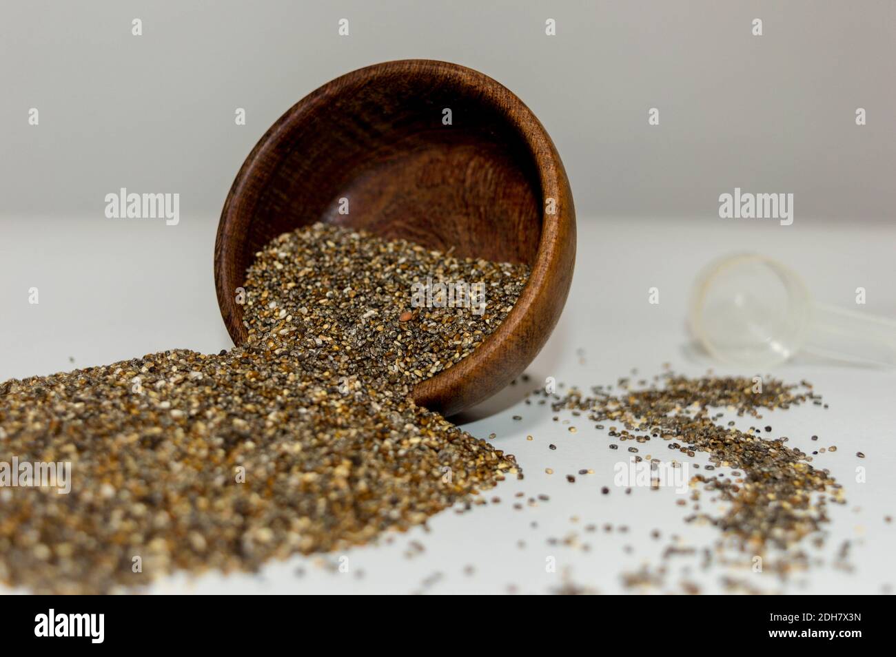 The seeds spilled from its container Stock Photo - Alamy