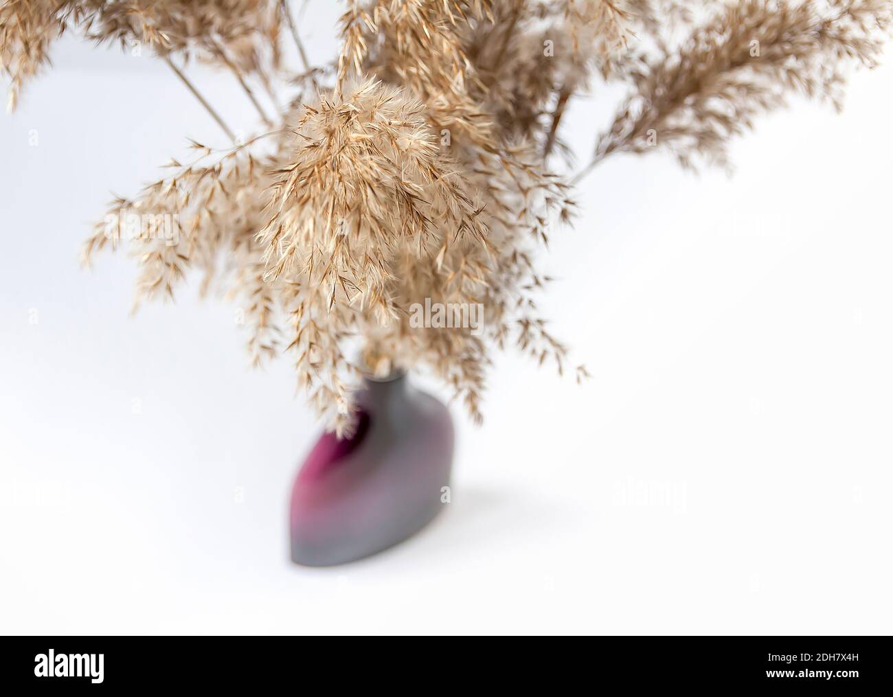 Bouquet of the dry natural reed plants in ceramic vase on white ...