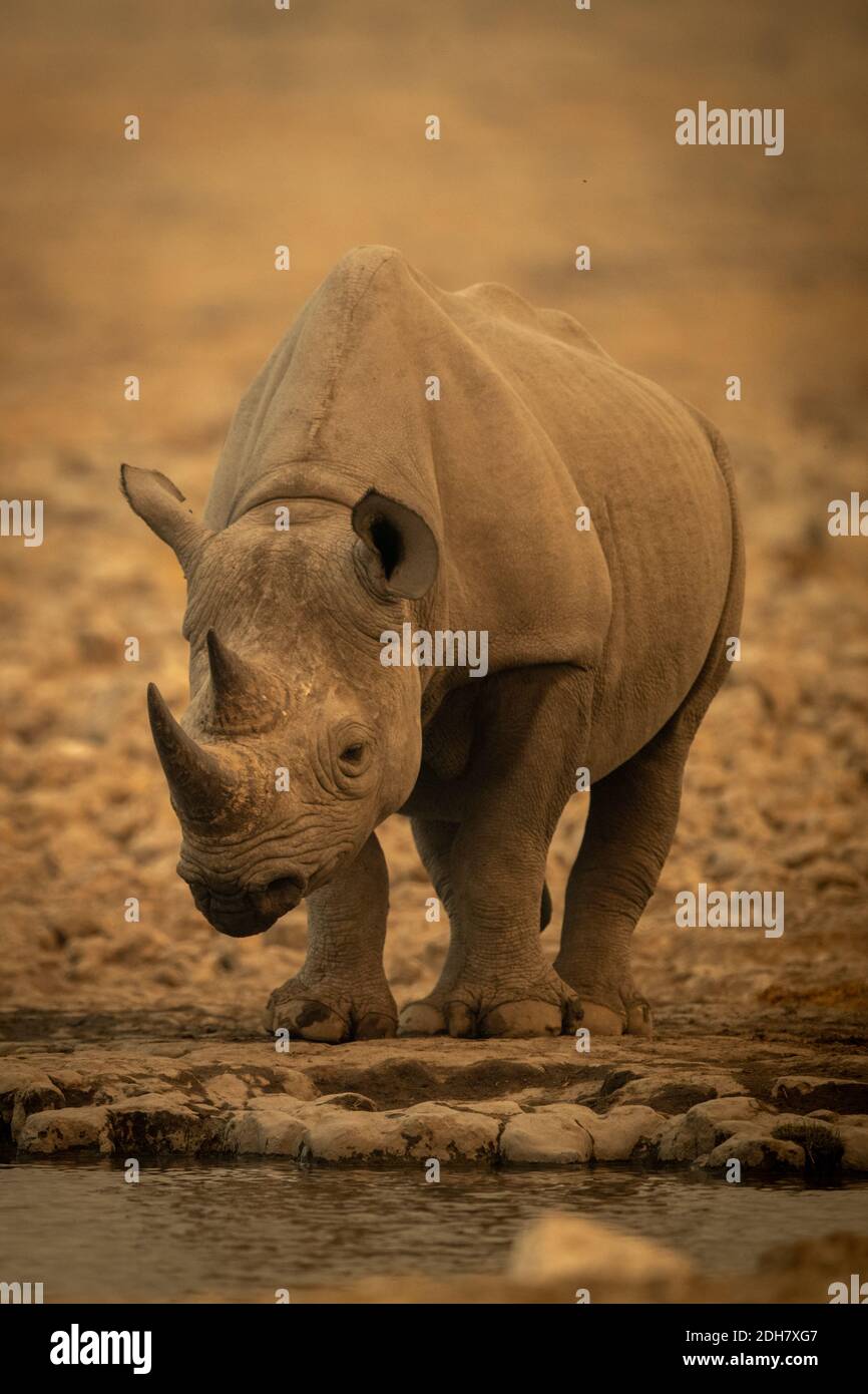 Lowering head hi-res stock photography and images - Alamy